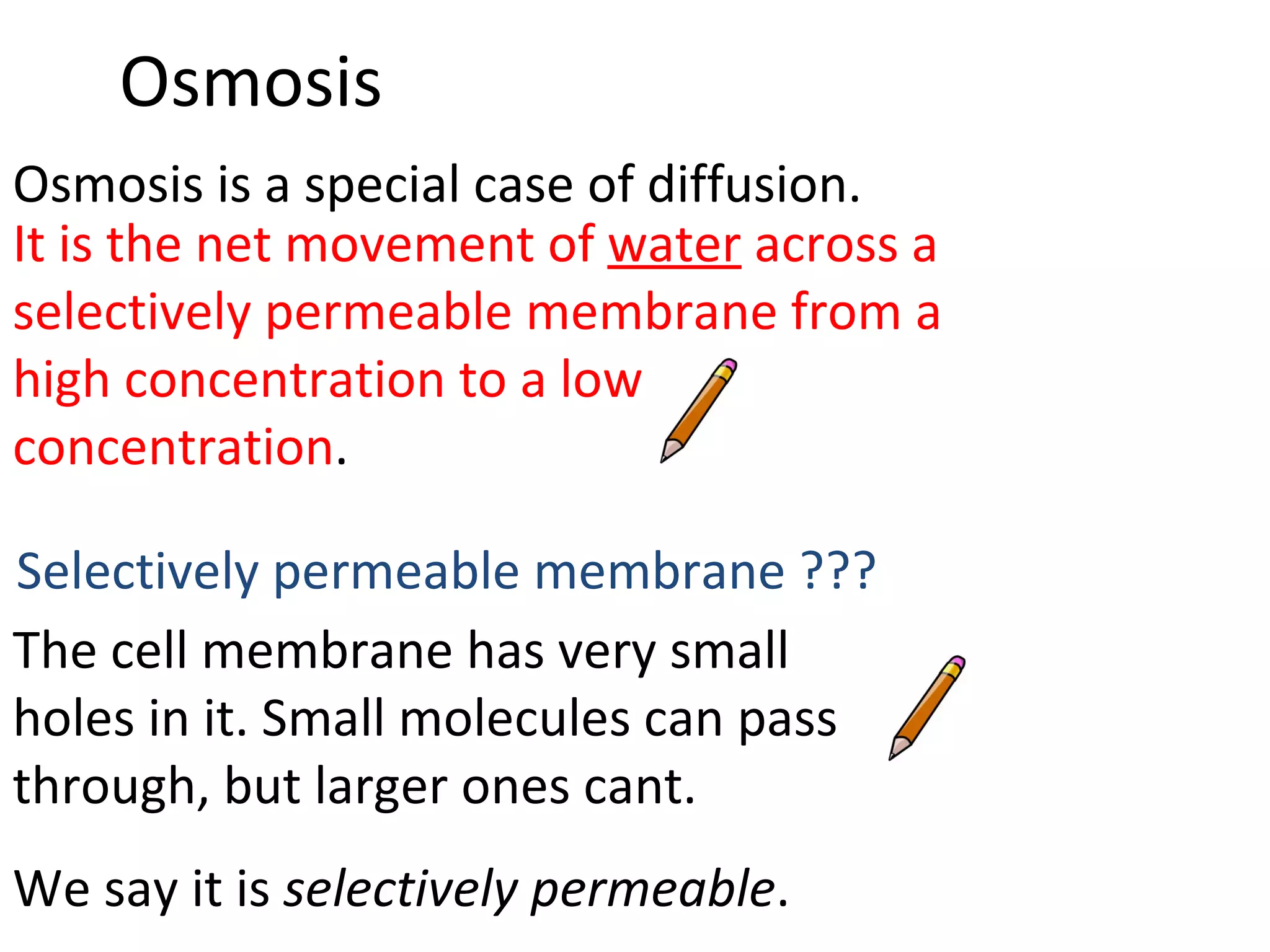 Diffusion and osmosis homework powerpoint | PPT | Chemistry | Science