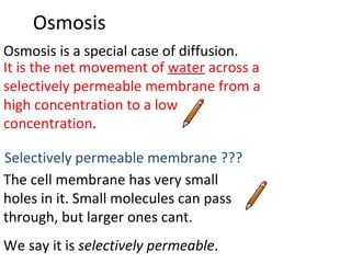 Diffusion and osmosis homework powerpoint | PPT | Chemistry | Science