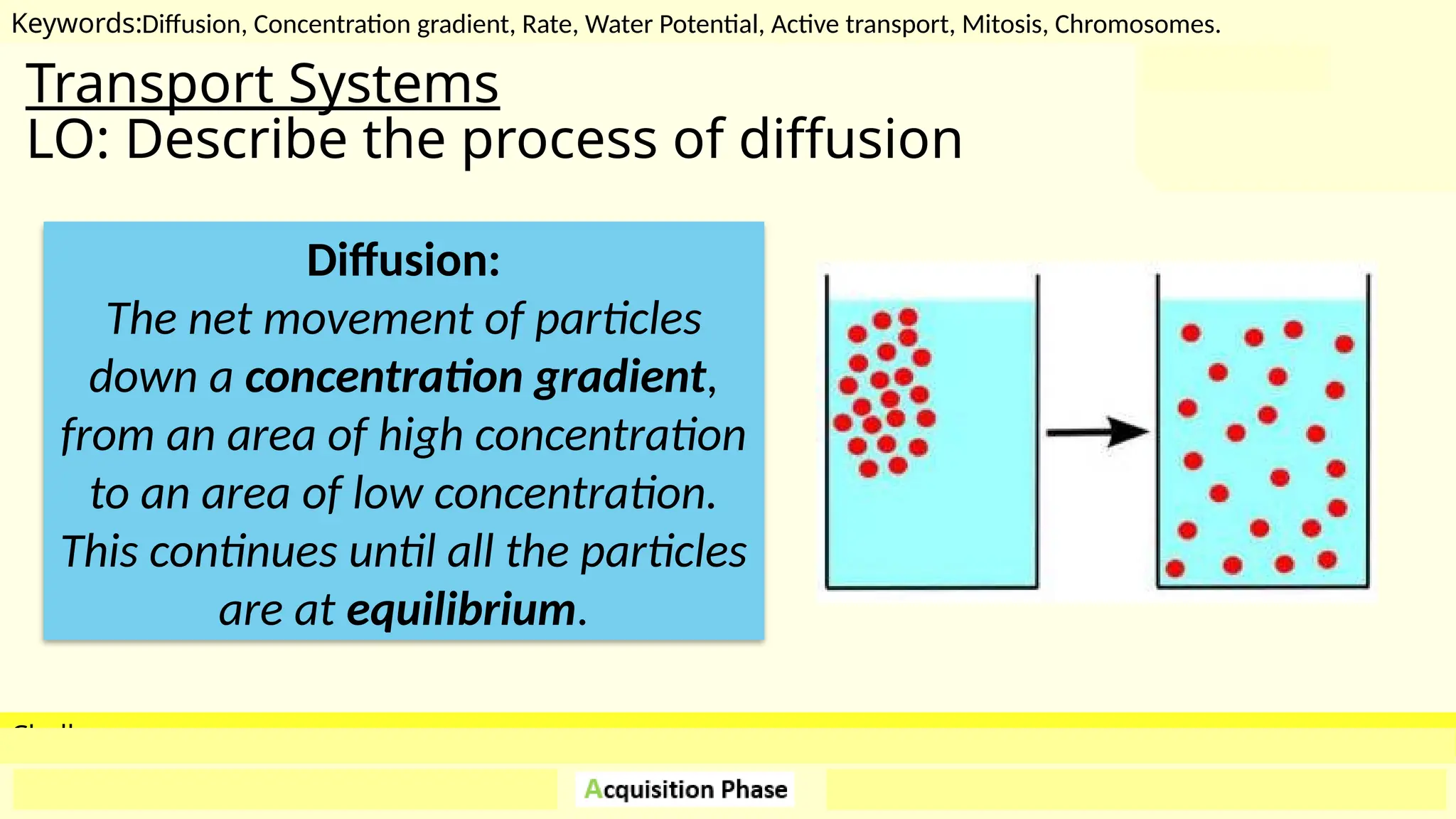 Diffusion and Osmosis Teacher Version.pptx