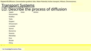 Diffusion and Osmosis Teacher Version.pptx