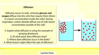 Diffusion and Osmosis Teacher Version.pptx