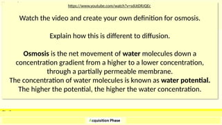 Diffusion and Osmosis Teacher Version.pptx