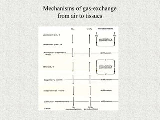 Diffusion Capacity: Indications and Interpretation | Jindal Chest ...