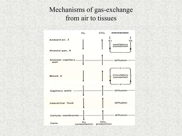 Diffusion Capacity: Indications and Interpretation | Jindal Chest ...