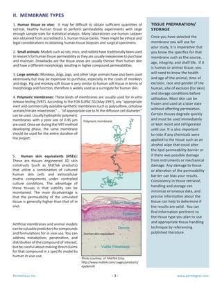 DIFFUSION TESTING FUNDAMENTALS INTRODUCTION | PDF