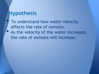 Diffusion egg presentation | PPTX