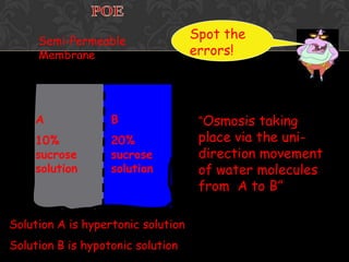 Diffusion Vs Osmosis | PPTX