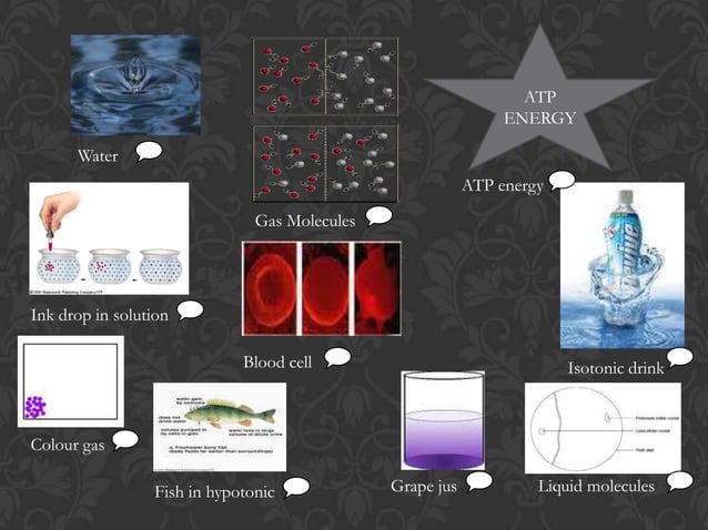 Diffusion Vs Osmosis | PPTX
