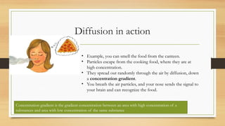 Diffusion in biology lower secondary.pptx