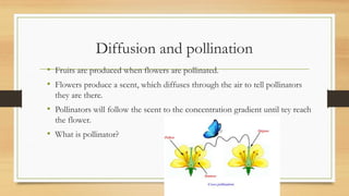 Diffusion in biology lower secondary.pptx