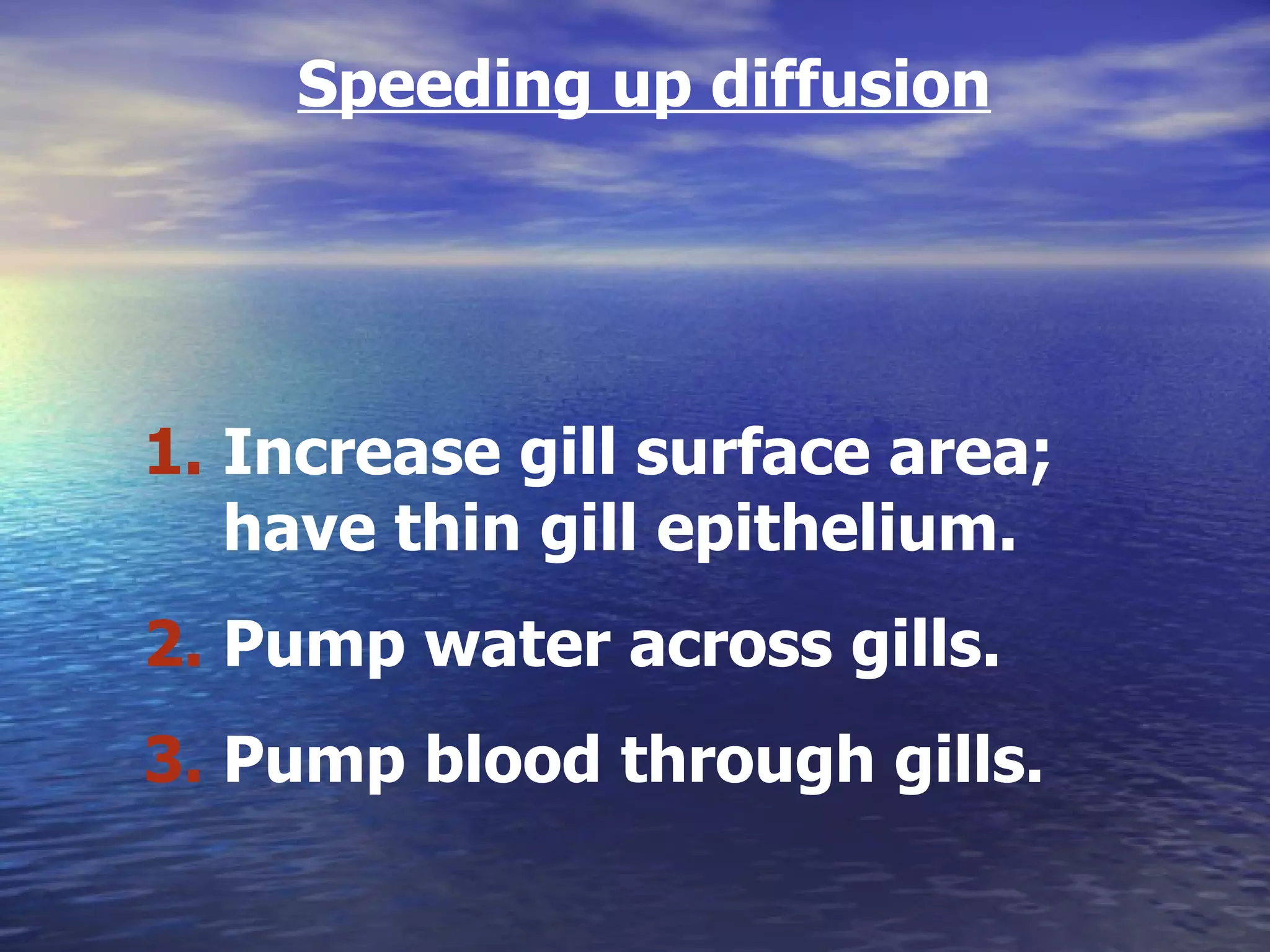 Diffusion In Fish Gills | PPT
