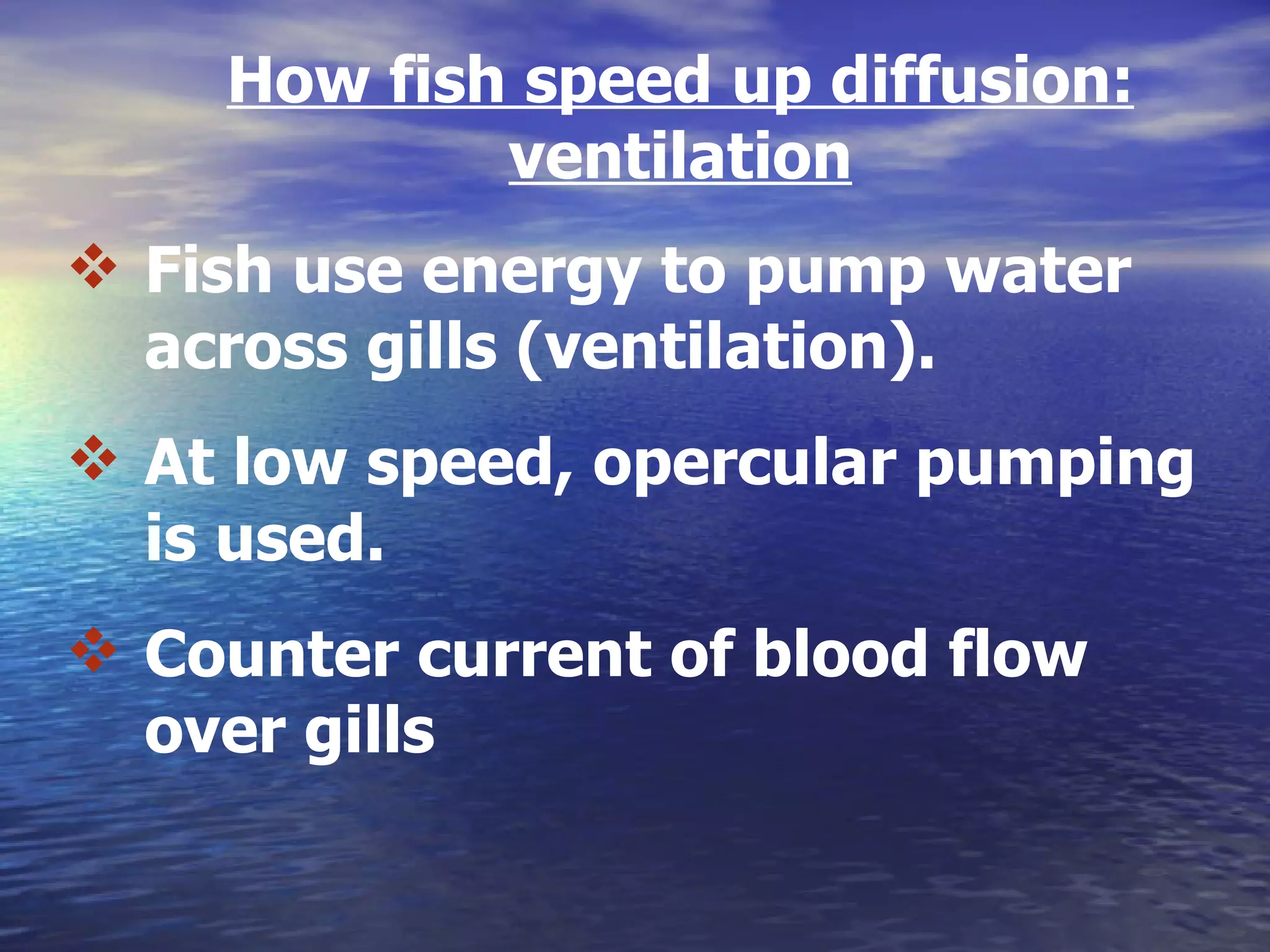 Diffusion In Fish Gills | PPT