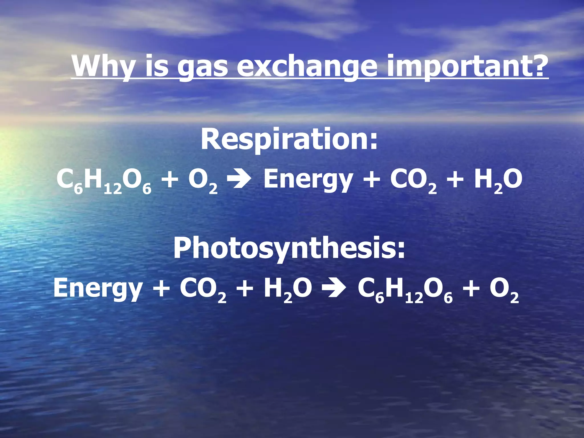 Diffusion In Fish Gills | PPT