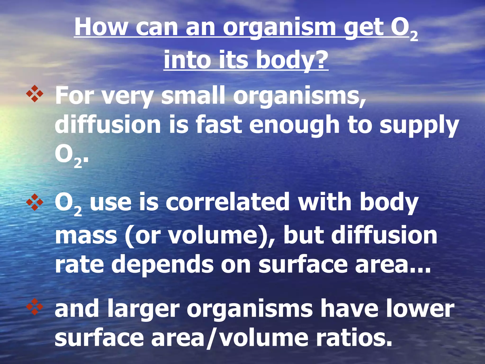 Diffusion In Fish Gills | PPT