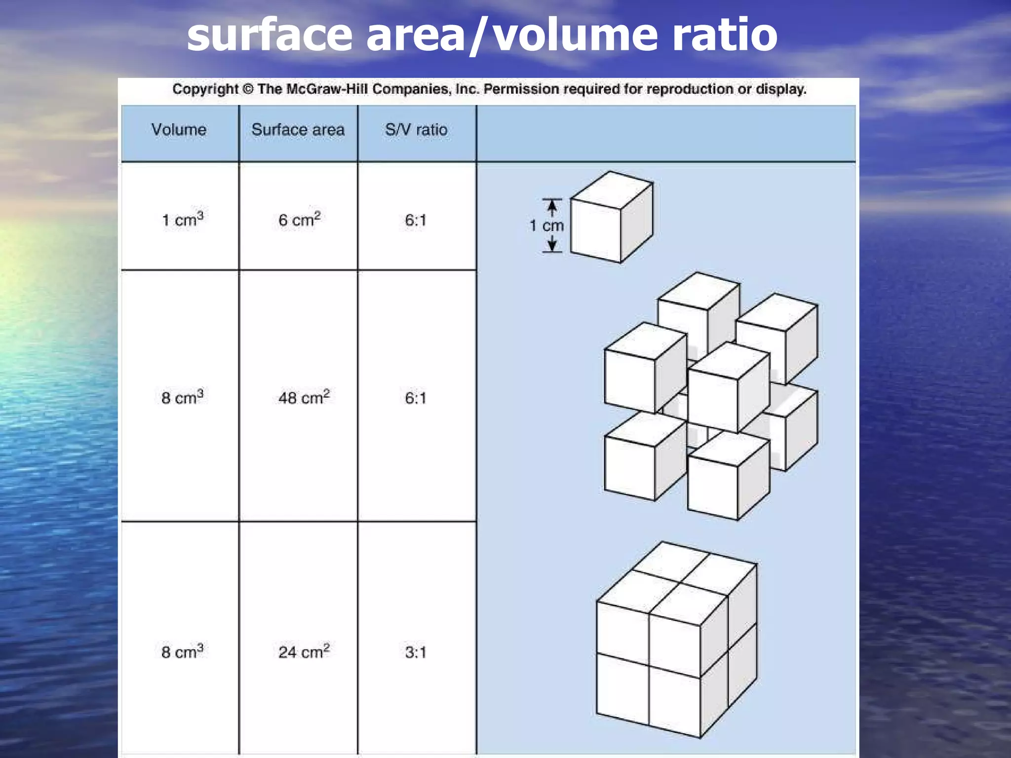 Diffusion In Fish Gills | PPT