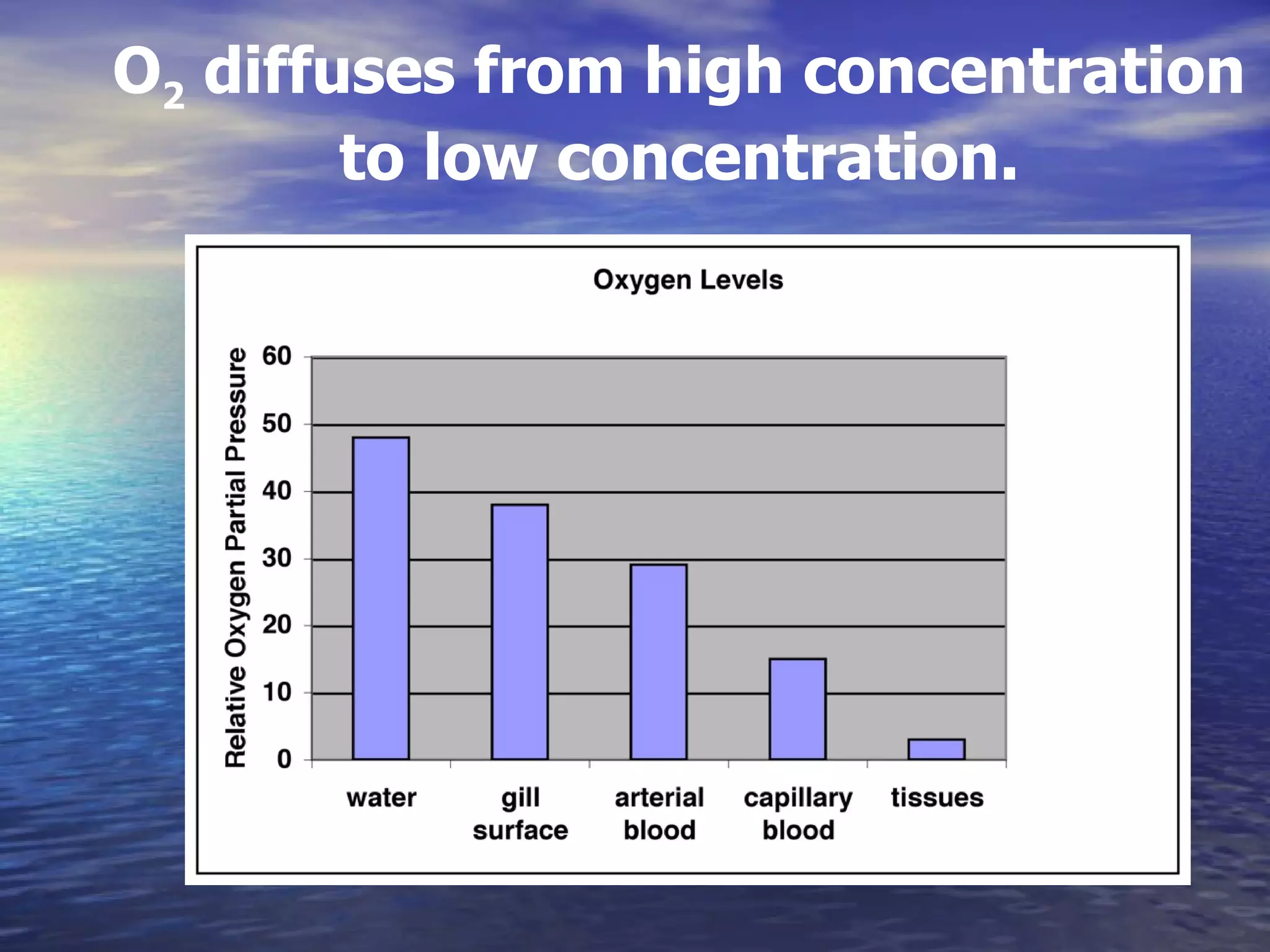 Diffusion In Fish Gills | PPT