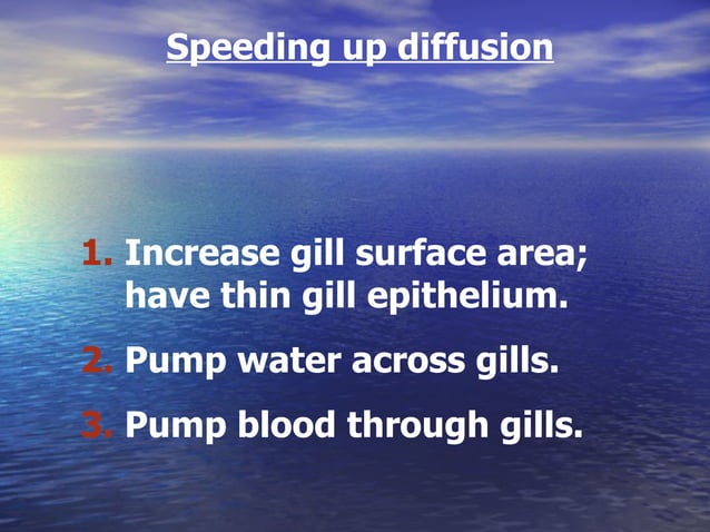 Diffusion In Fish Gills | PPT | Fish and Aquariums | Pets