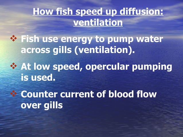 Diffusion In Fish Gills | PPT | Fish and Aquariums | Pets