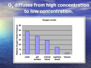 Diffusion In Fish Gills | PPT