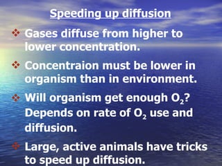 Diffusion In Fish Gills | PPT