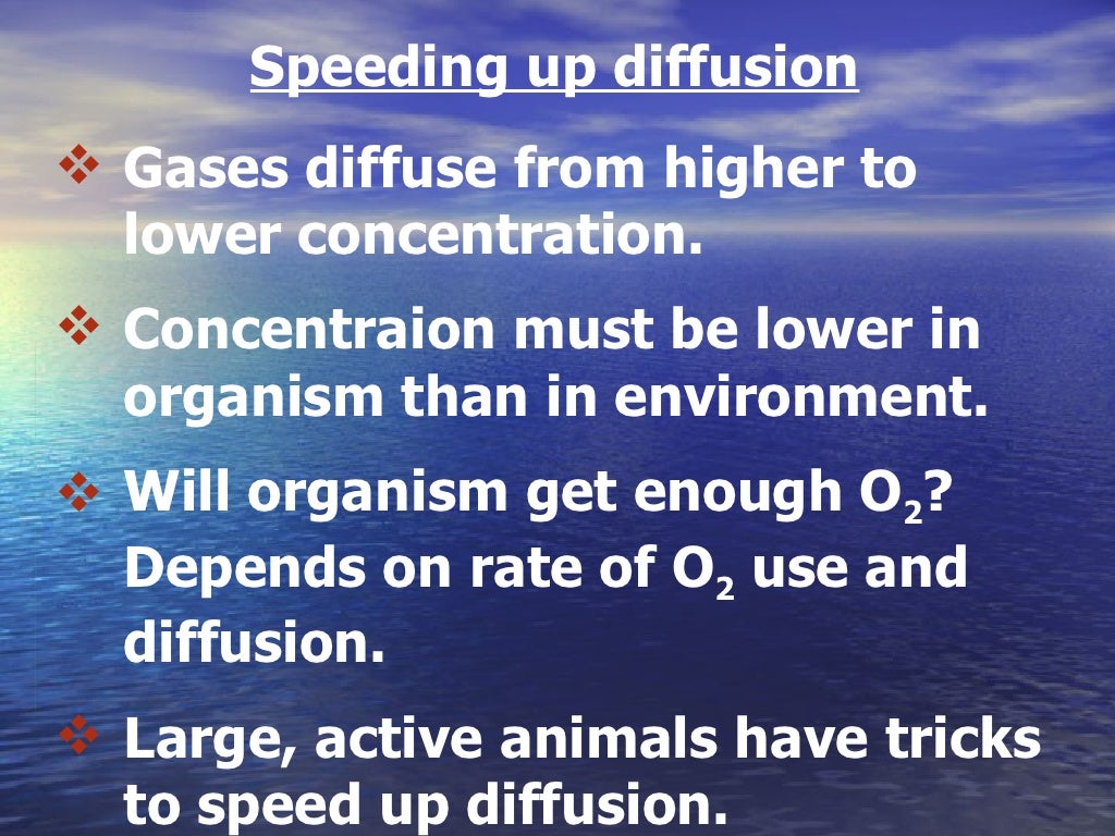 Diffusion In Fish Gills