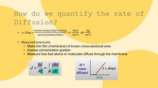 Diffusion in Solids.pptx