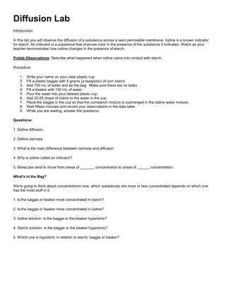 Diffusion lab | DOCX