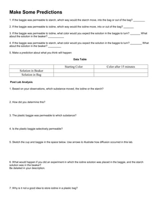 Diffusion lab | DOCX