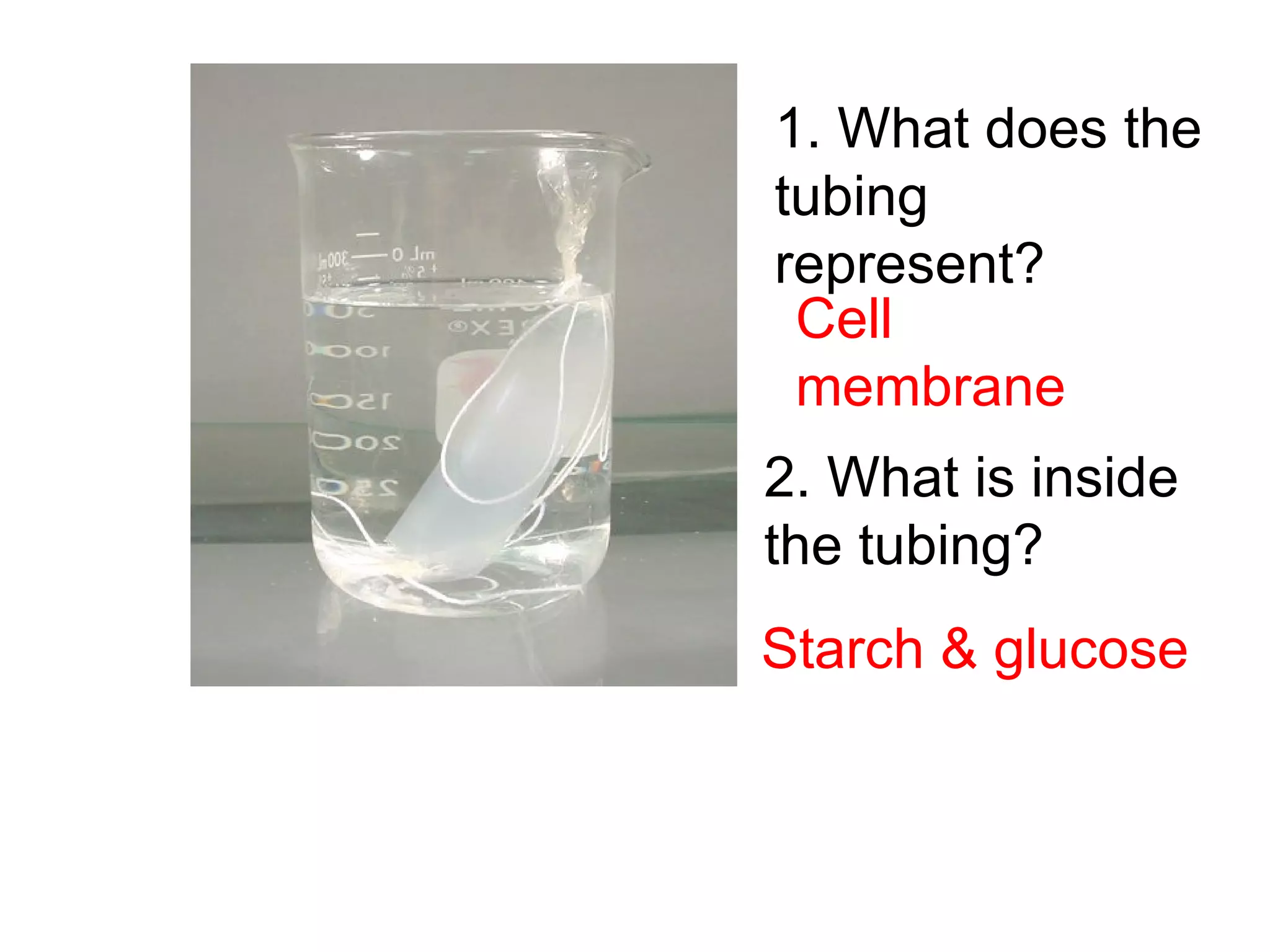 Diffusion Lab Review[1] | PPT