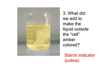 Diffusion Lab Review[1] | PPT
