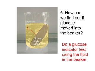 Diffusion Lab Review[1] | PPT