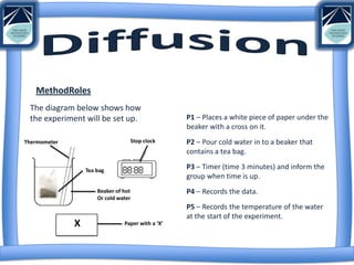 Diffusion lesson | PPT
