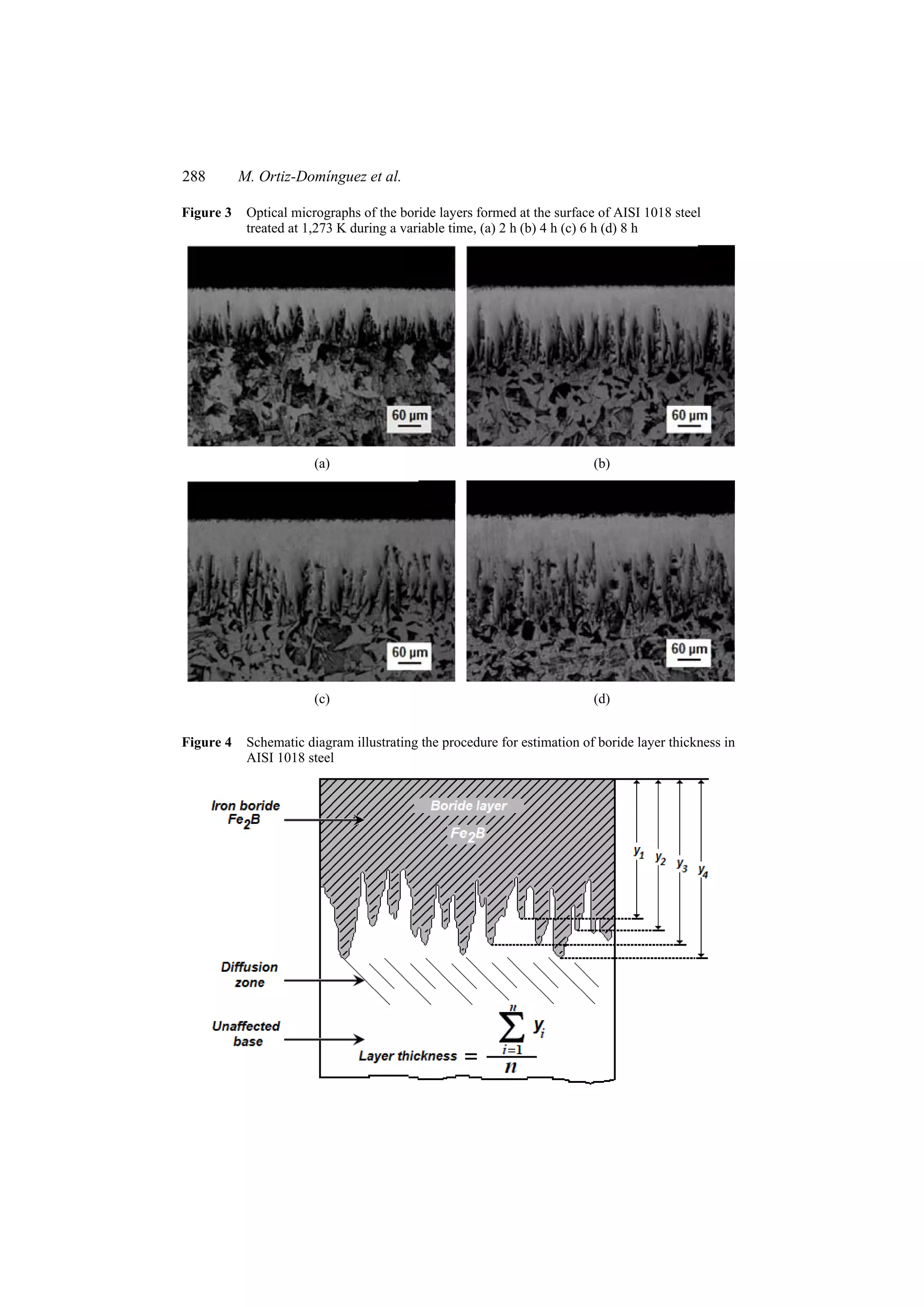 Diffusion model and characterisation of fe2 b layers on aisi 1018 steel ...