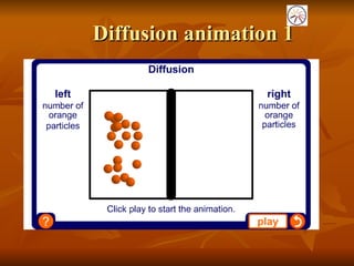 Diffusion of gases | PPT