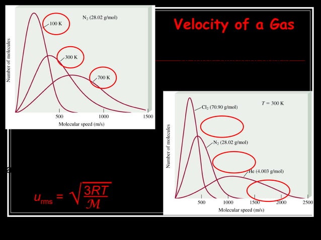Diffusion of gases | PPT