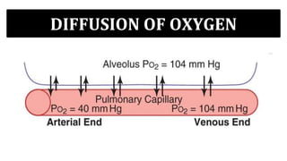 Diffusion of gases.pptx