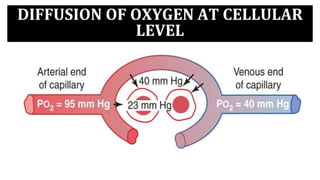 Diffusion of gases.pptx
