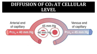 Diffusion of gases.pptx