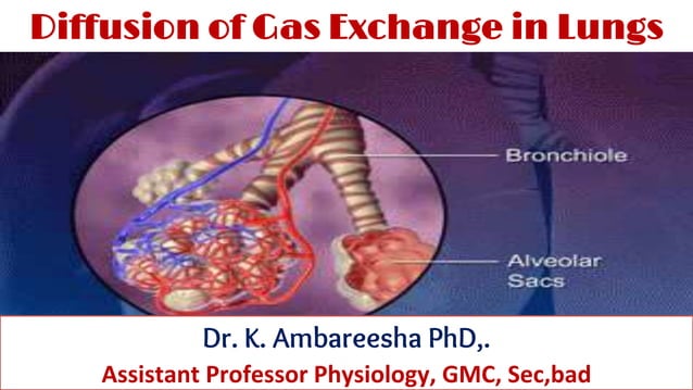 Diffusion of gases.pptx | Lung and Respiratory Health | Diseases and ...