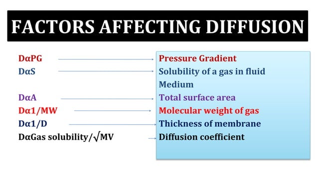 Diffusion of gases.pptx | Lung and Respiratory Health | Diseases and ...
