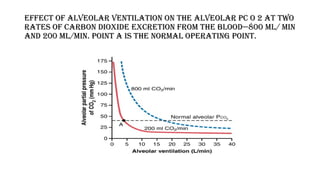diffusion of gases.pptx involving carbon dioxide,nitrogen,oxygen | PPT