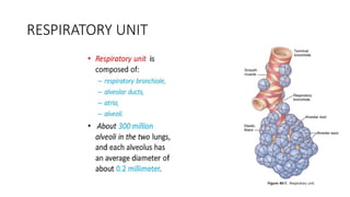 diffusion of gases.pptx involving carbon dioxide,nitrogen,oxygen | PPT