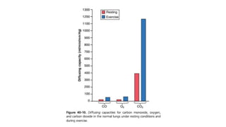 diffusion of gases.pptx involving carbon dioxide,nitrogen,oxygen | PPT
