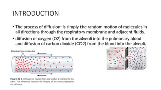 diffusion of gases.pptx involving carbon dioxide,nitrogen,oxygen | PPT