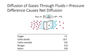 diffusion of gases.pptx involving carbon dioxide,nitrogen,oxygen | PPT