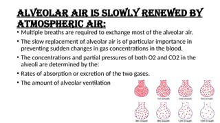 diffusion of gases.pptx involving carbon dioxide,nitrogen,oxygen | PPT
