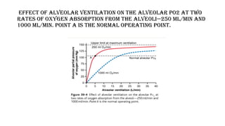 diffusion of gases.pptx involving carbon dioxide,nitrogen,oxygen | PPT