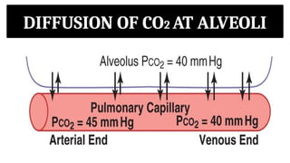 DIFFUSION OF GASES by Dr K AMBAREESHA GOUD | PPTX