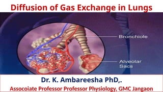 DIFFUSION OF GASES by Dr K AMBAREESHA GOUD | PPT