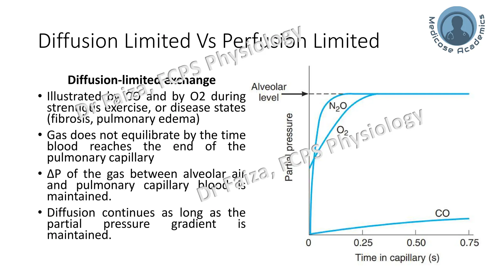 Diffusion of gases through Respiratory Membrane | PPT